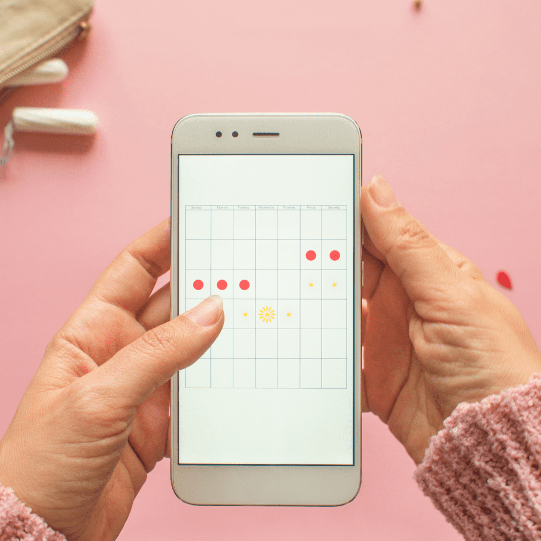 The 4 Phases of the Menstrual Cycle